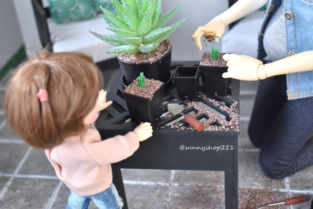 Lot pot mini plante 1/6,1/4,1/3 Barbie, Minifee, SD